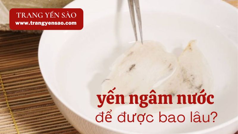 YẾN NGÂM NƯỚC ĐỂ ĐƯỢC BAO LÂU? Giải Đáp Cụ Thể